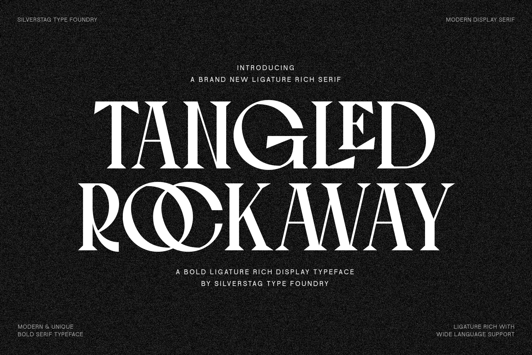 Tangled Rockaway – A Vintage Serif Font with a Modern Edge & 48 Ligatures