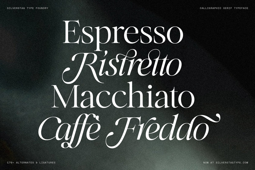 Luxury Fonts for Premium Branding - SilverStag Type Foundry