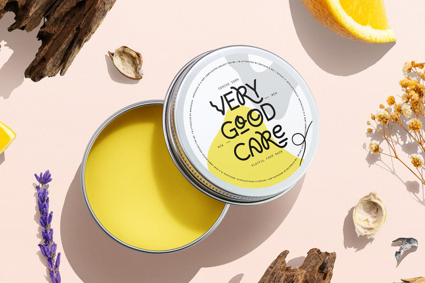 Script Fonts - Elegant Calligraphy Style Typefaces - SilverStag Type ...