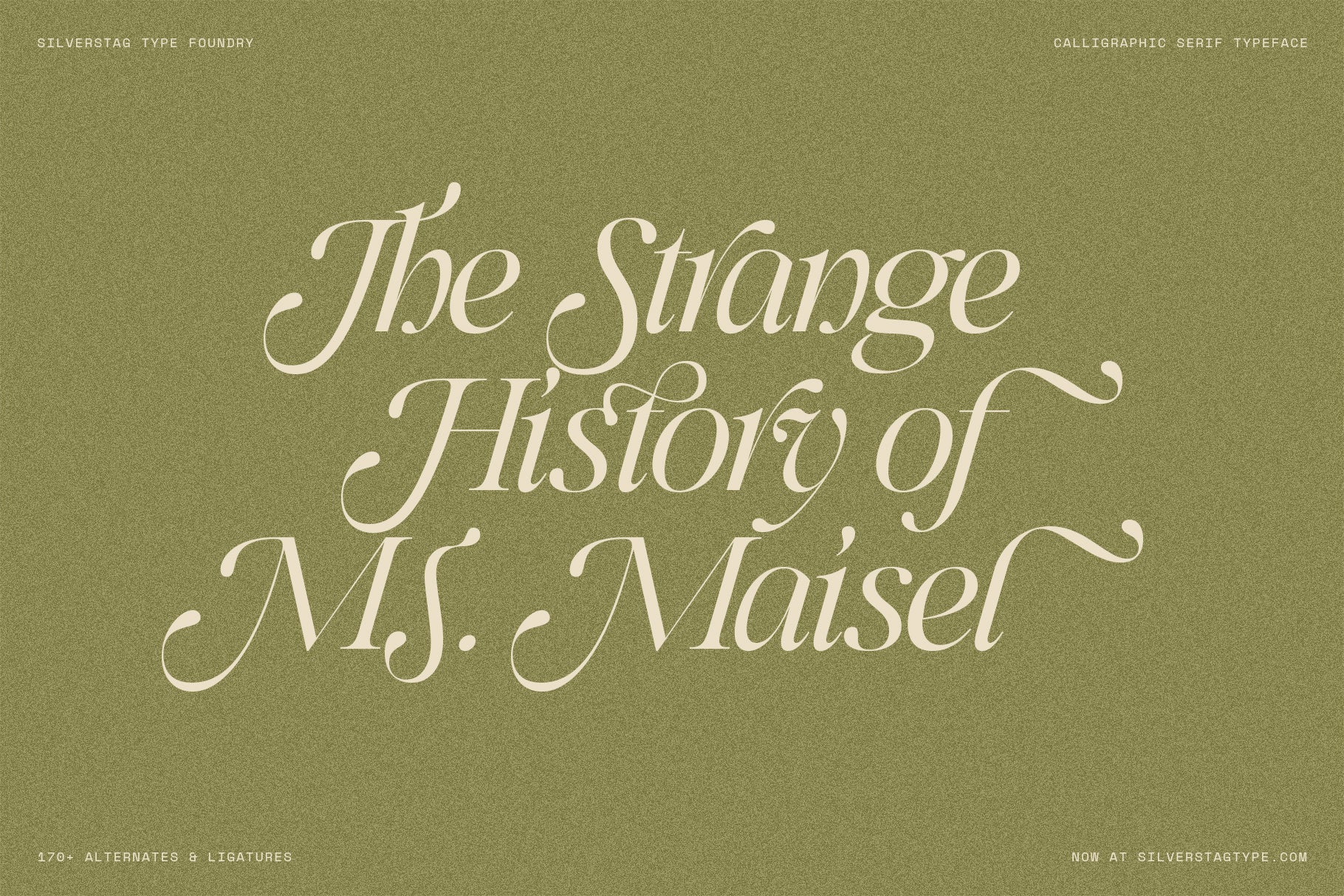 SLTF Netsera – Elegant Calligraphic Serif Font with Alternates & Italic