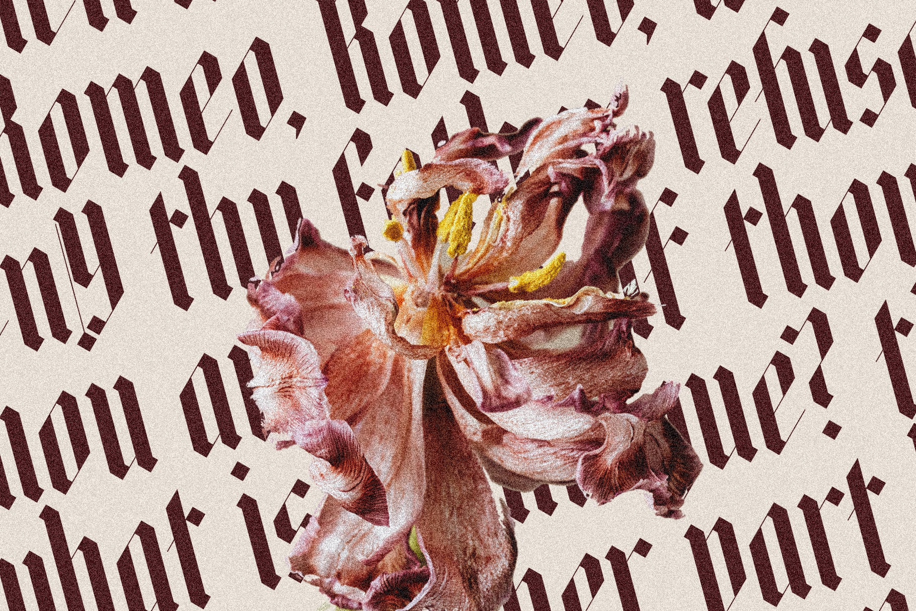 Rymaki – A Modern Blackletter Typeface with 560 Glyphs & Rounded ...