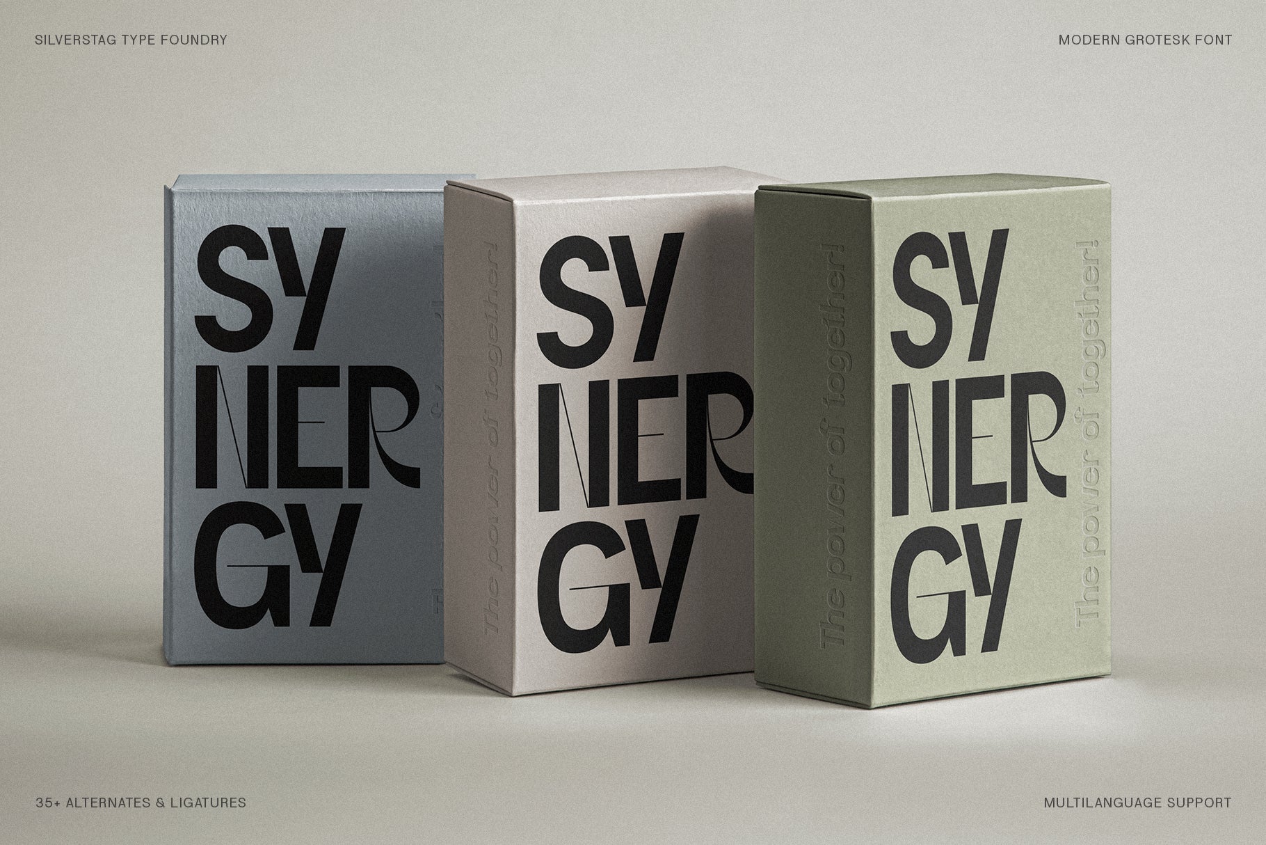 SLTF Refugio – A Modern Grotesk Font with 35+ Ligatures & Distinctive ...
