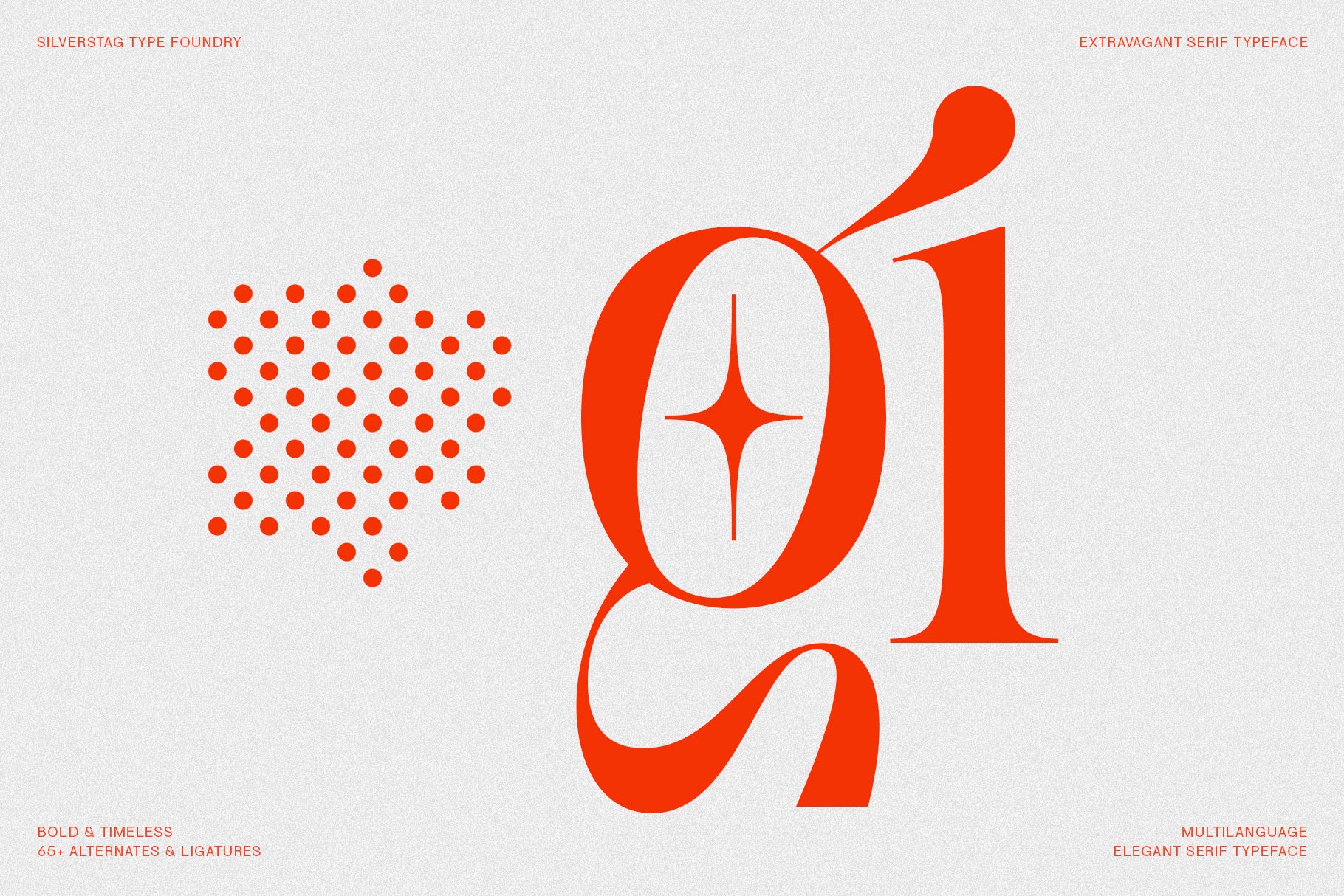 SLTF BOXROOM – A Modern Serif Typeface with 65+ Ligatures & Global Reach