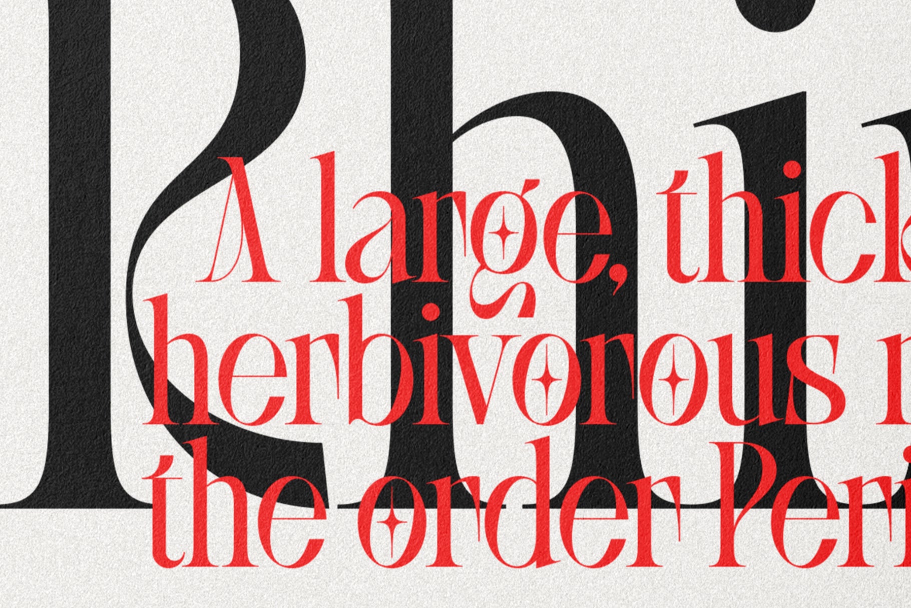SLTF BOXROOM – A Modern Serif Typeface with 65+ Ligatures & Global Reach
